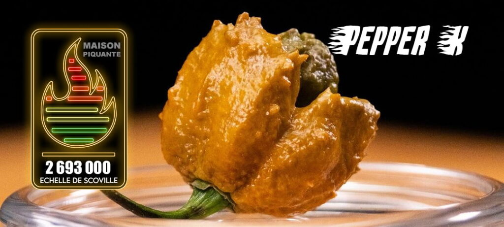 Notre Top 10 du Piment le plus fort du monde | Maison Piquante