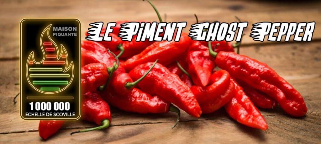 Notre Top 10 du Piment le plus fort du monde | Maison Piquante