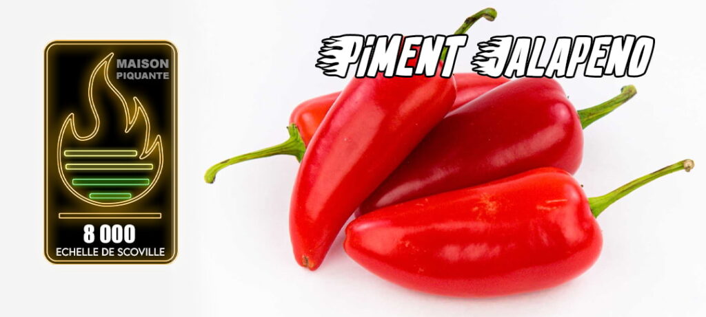 Notre Top 10 du Piment le plus fort du monde | Maison Piquante