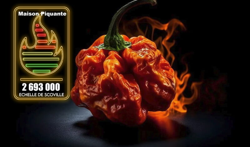 Notre Top 10 du Piment le plus fort du monde | Maison Piquante
