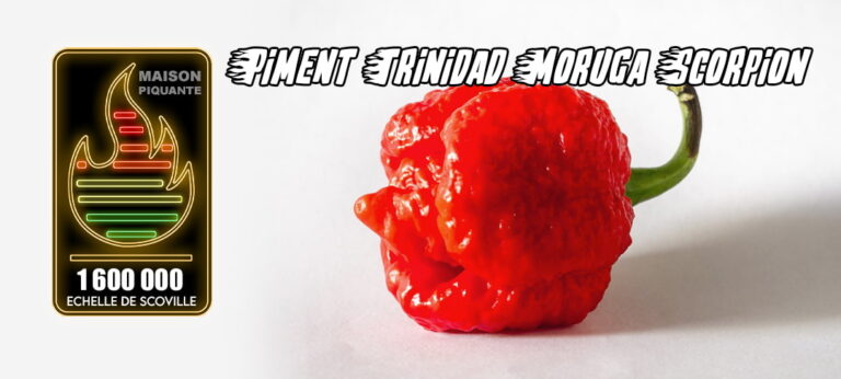 Notre Top 10 du Piment le plus fort du monde | Maison Piquante